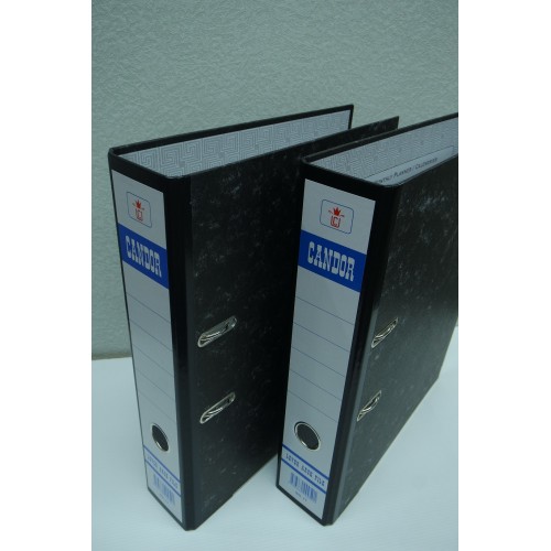 CARDBOARD 3 INCH ARCH FILE FS